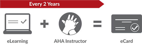 Popular Classes Offered – CPR Choice Knoxville – CPR and First Aid Training